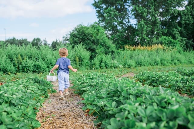 Ferme pédagogique enfants Champéon - Pat’à Foin | P'tit Explorer